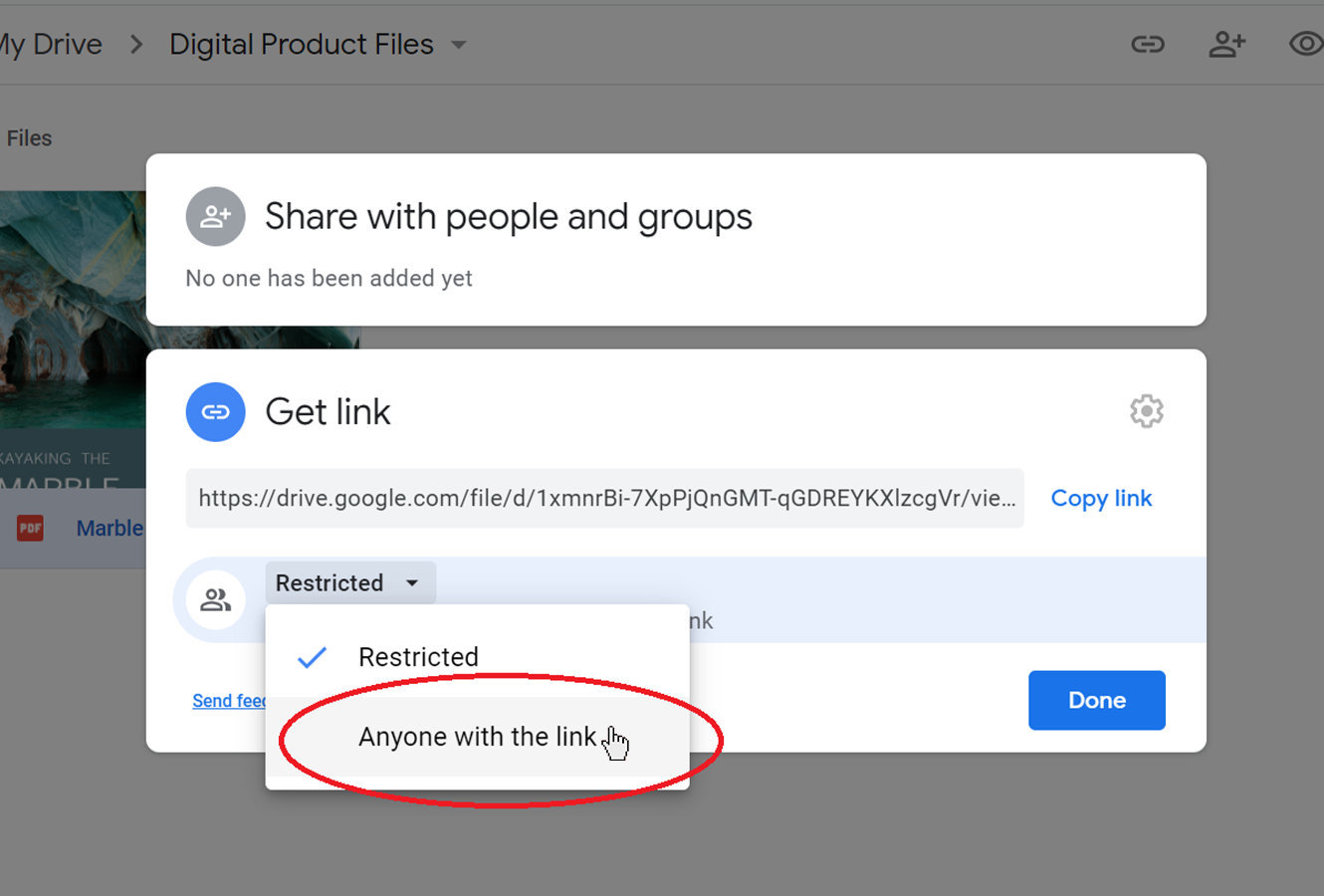 Google Drive Direct Download Link Generator Paperform