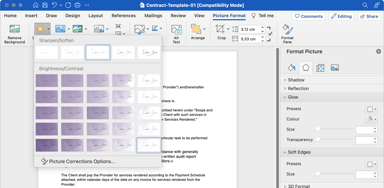 How to add an electronic signature in Microsoft Word (5 easy steps)