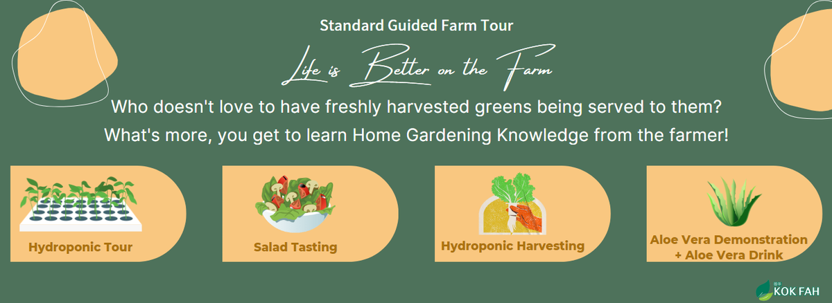 Standard Guided Farm Tour