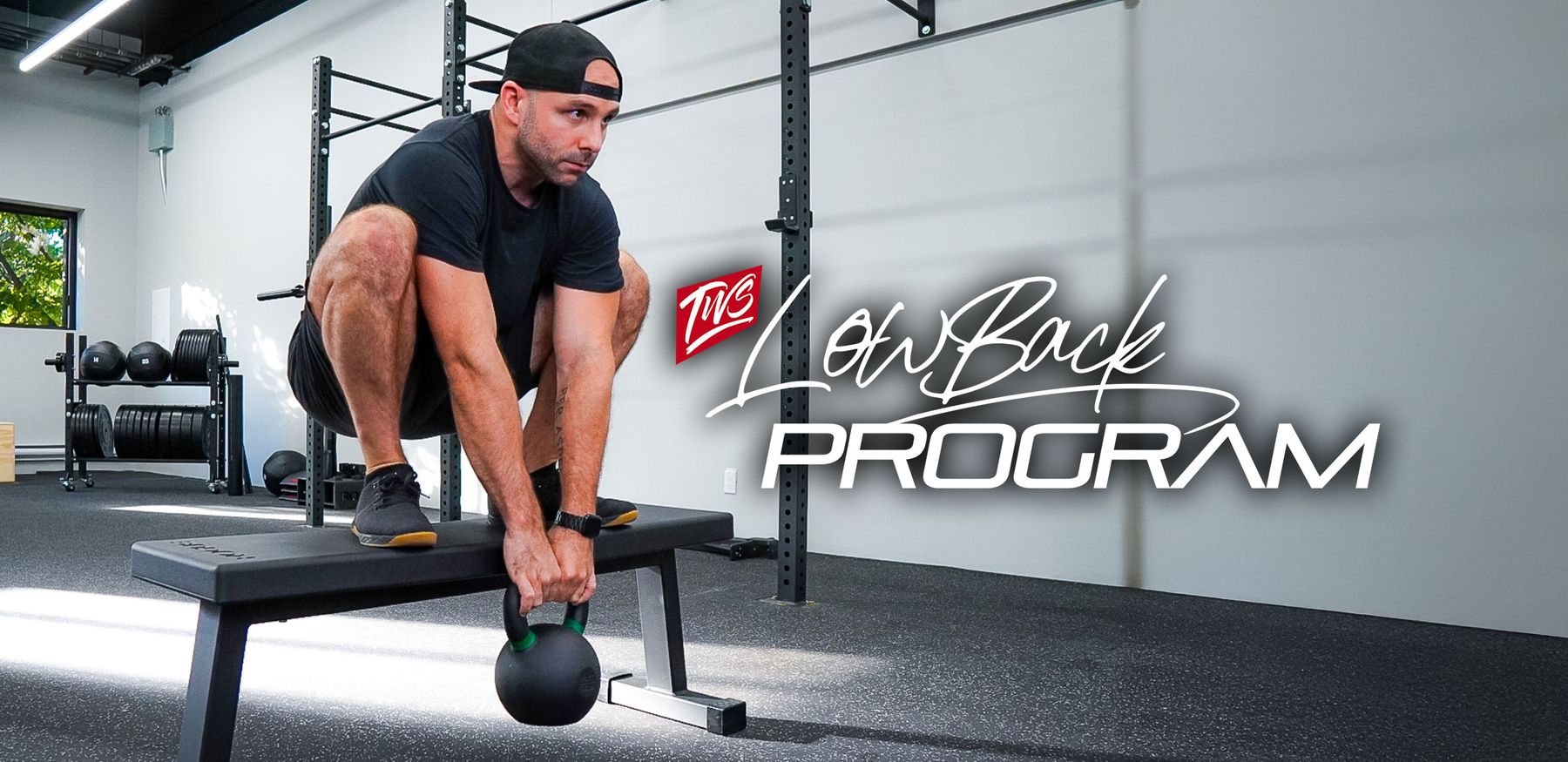 TWS Low Back Program