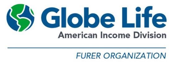 Furer Organization Questionnaire -Libby/Sanchez
